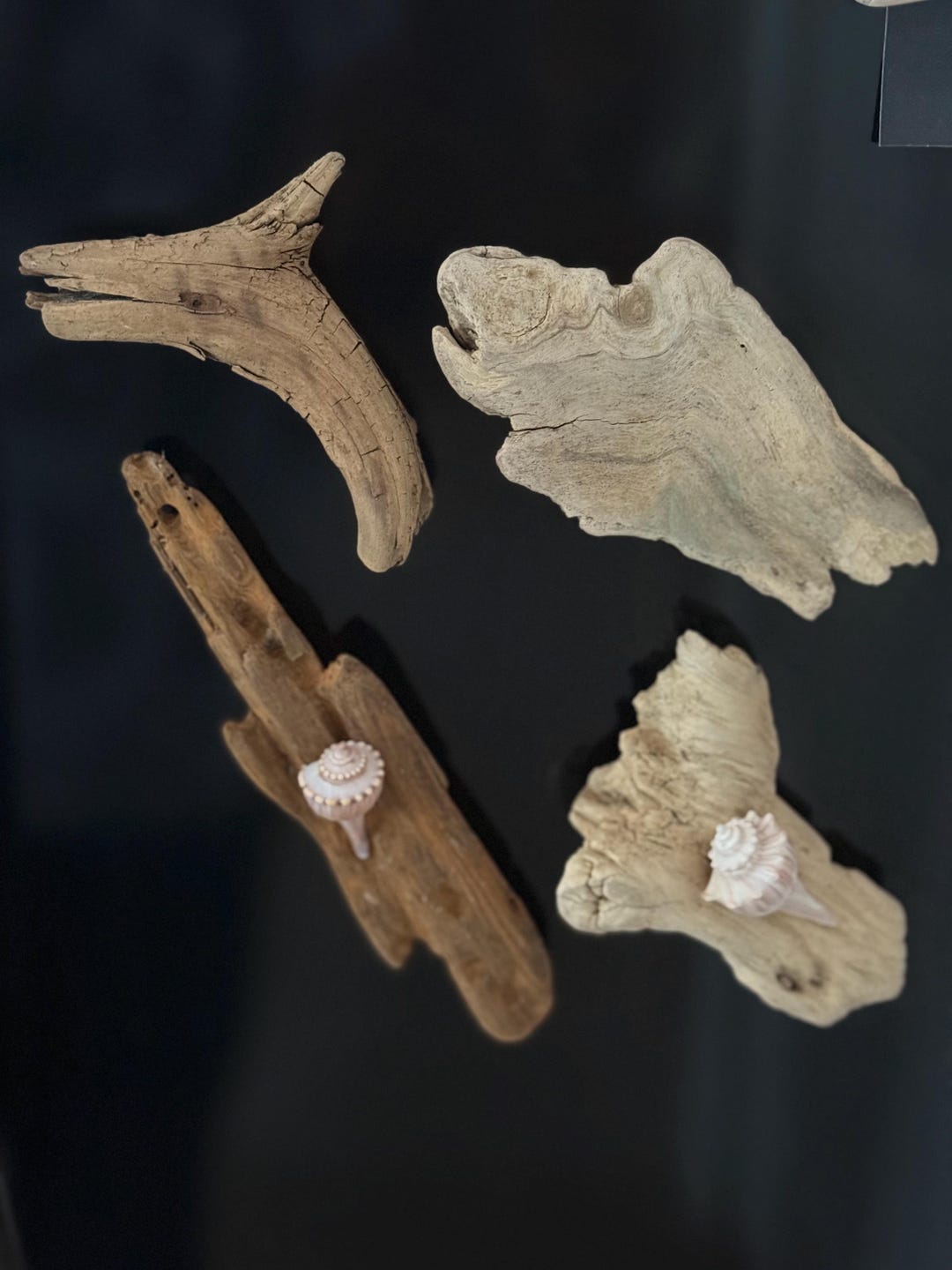 Driftwood and Seashell Fridge Magnets | Shells and Driftwood From ...