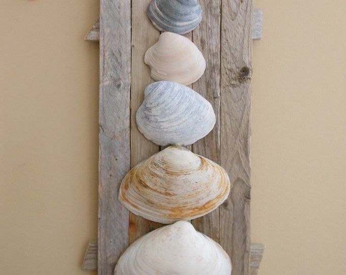 Quahog Clam Shells and Driftwood Wall Art Beach Decor - Etsy