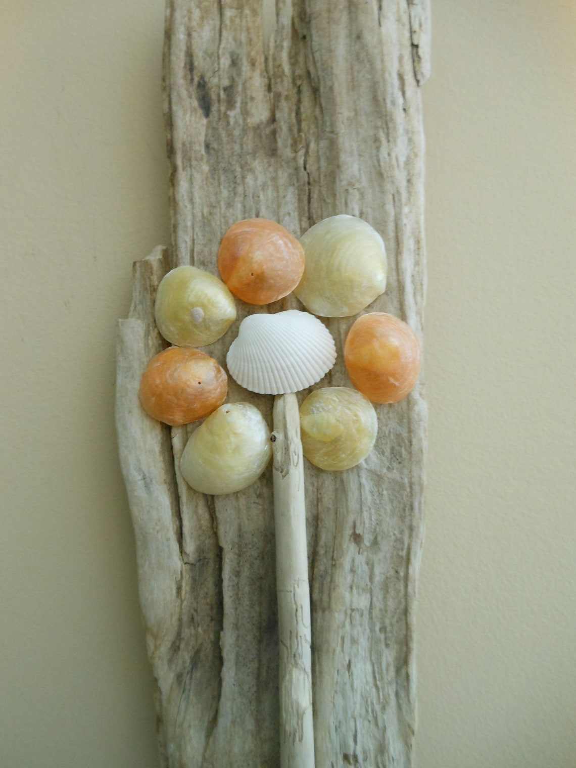 Driftwood and Shell Wall Art Jingle Shell Flower on - Etsy