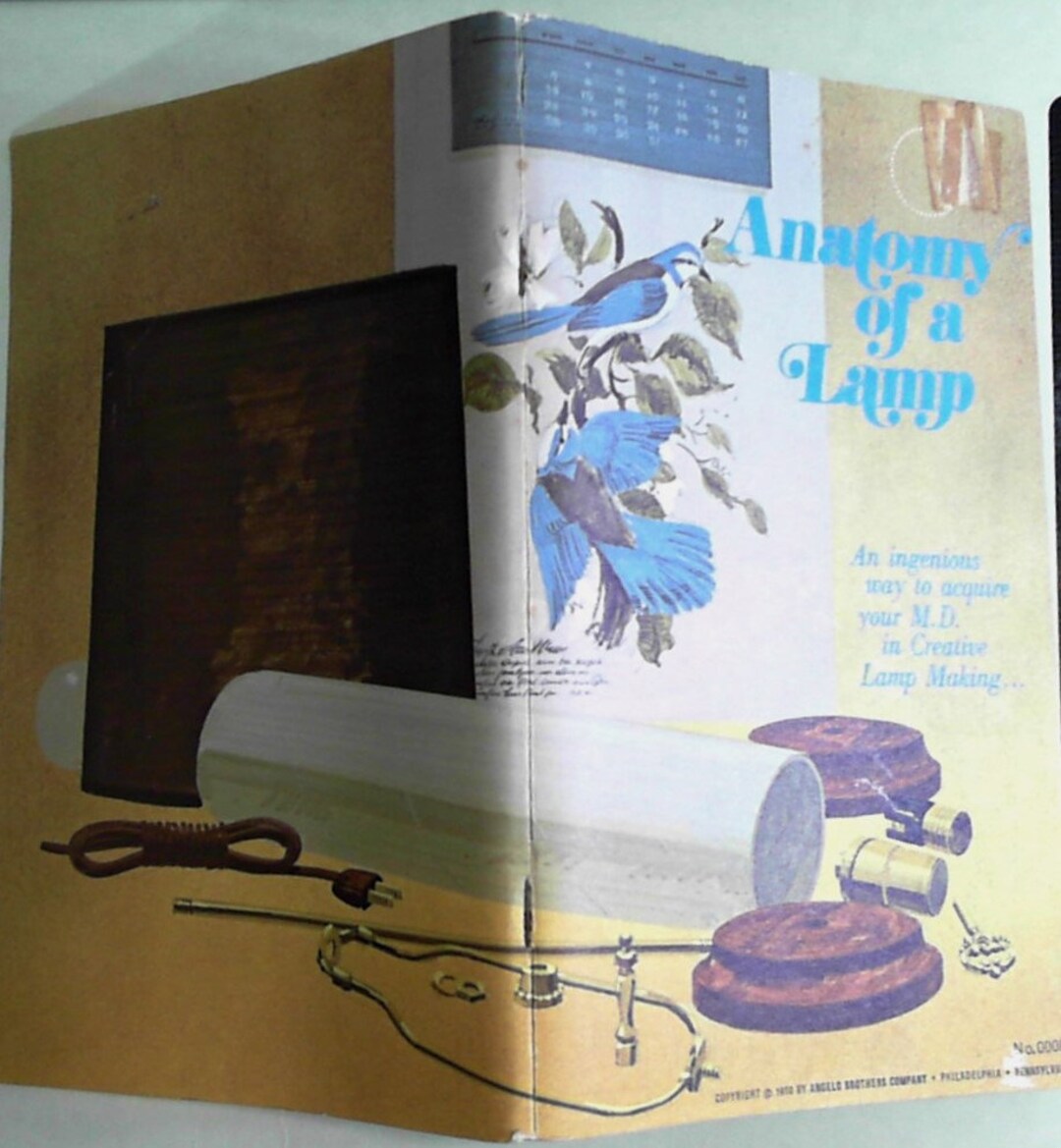 Angelo Lamparts Anatomy of a Lamp, an Ingenious Way to Acquire Your M.D ...