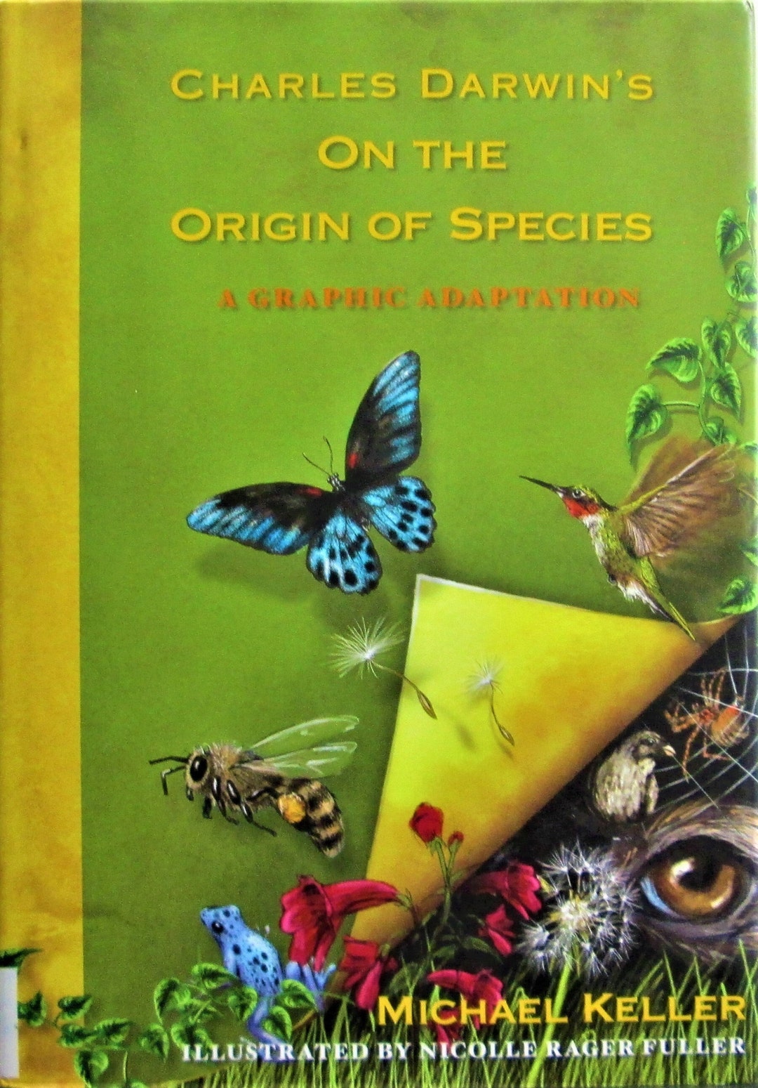 Charles Darwin's on the Origin of Species: A Graphic - Etsy