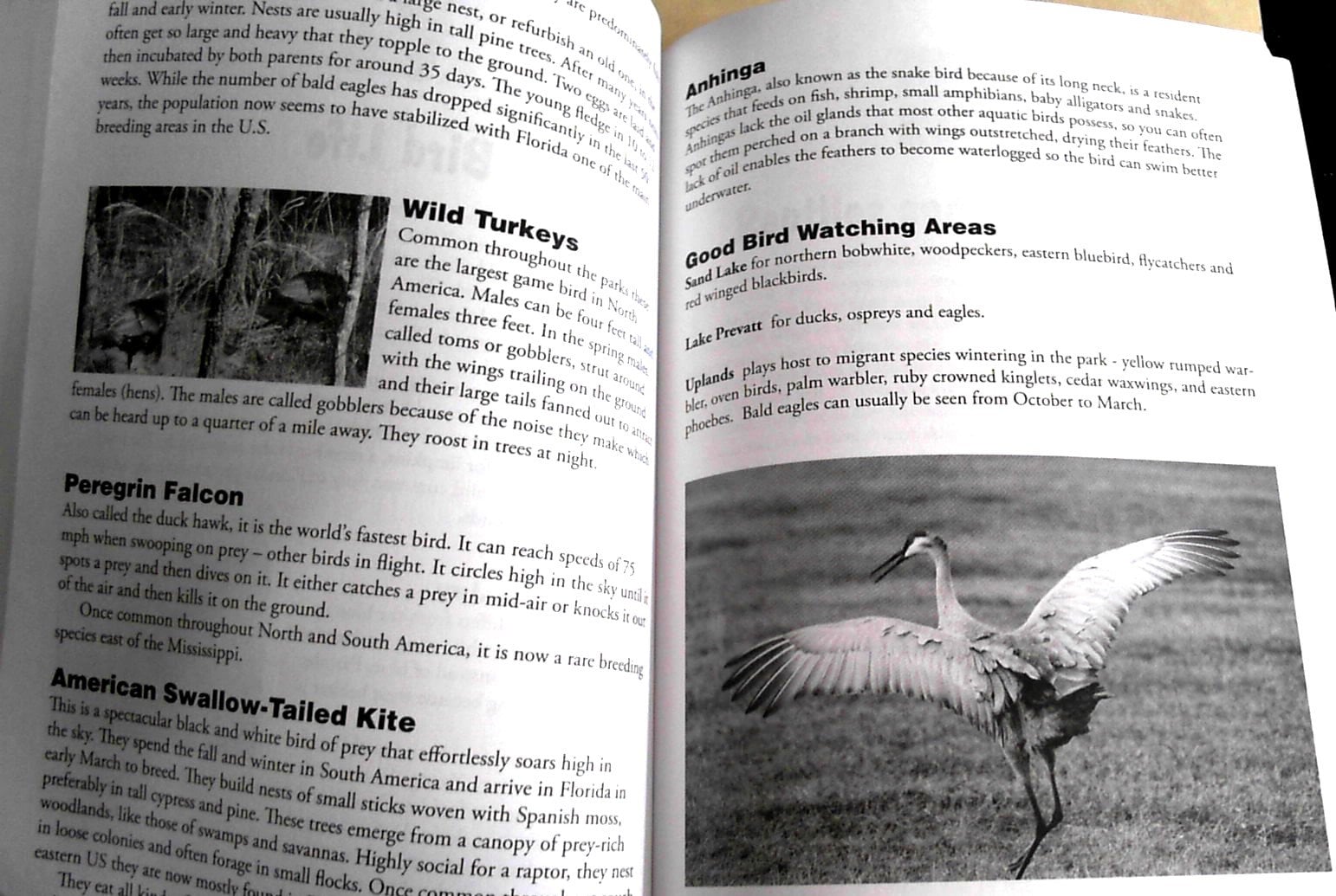 Guide to the Wekiva River Basin State Parks by Don Philpott, Paperback ...