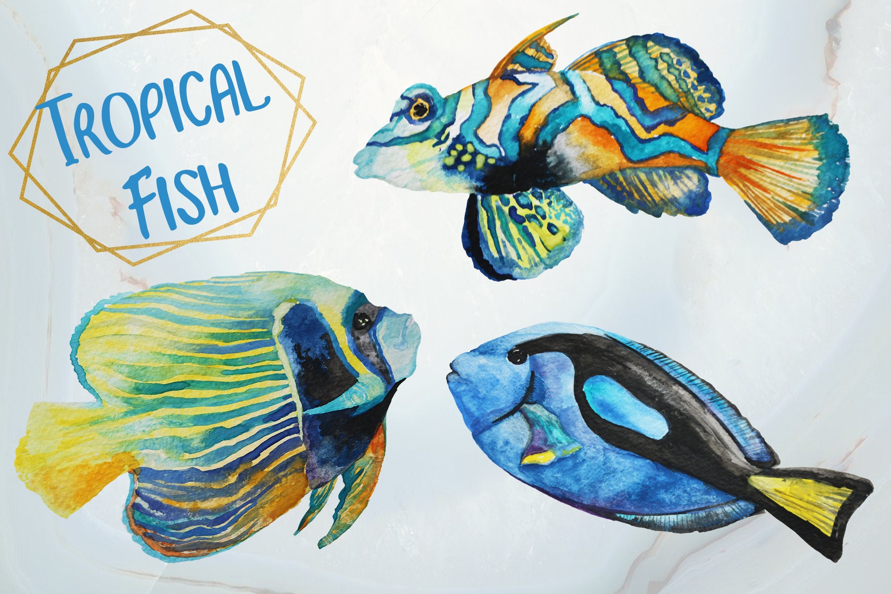 Tropical Fish Clip Art Set Watercolor Fish Illustration Fish - Etsy