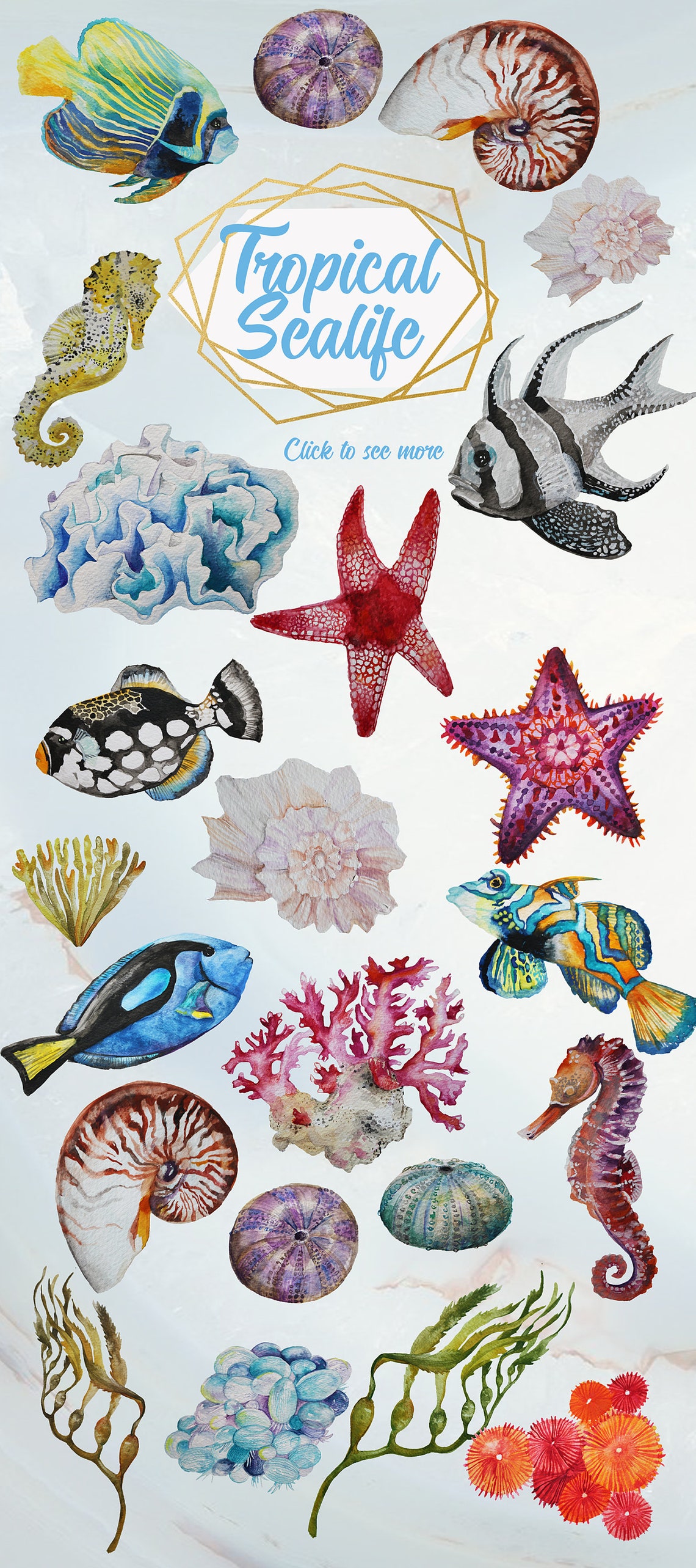 Tropical Fish and Sea Life Clip Art Set Watercolor Coral - Etsy