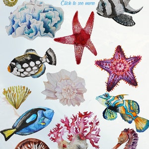 Tropical Fish and Sea Life Clip Art Set Watercolor Coral - Etsy