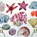 Tropical Fish and Sea Life Clip Art Set Watercolor Coral - Etsy