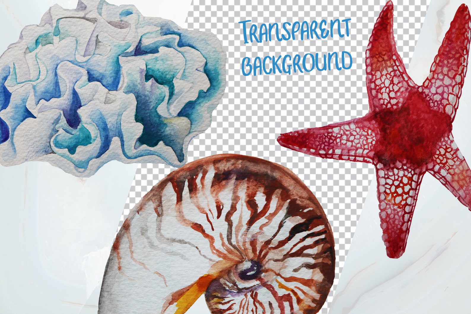 Tropical Fish and Sea Life Clip Art Set Watercolor Coral - Etsy