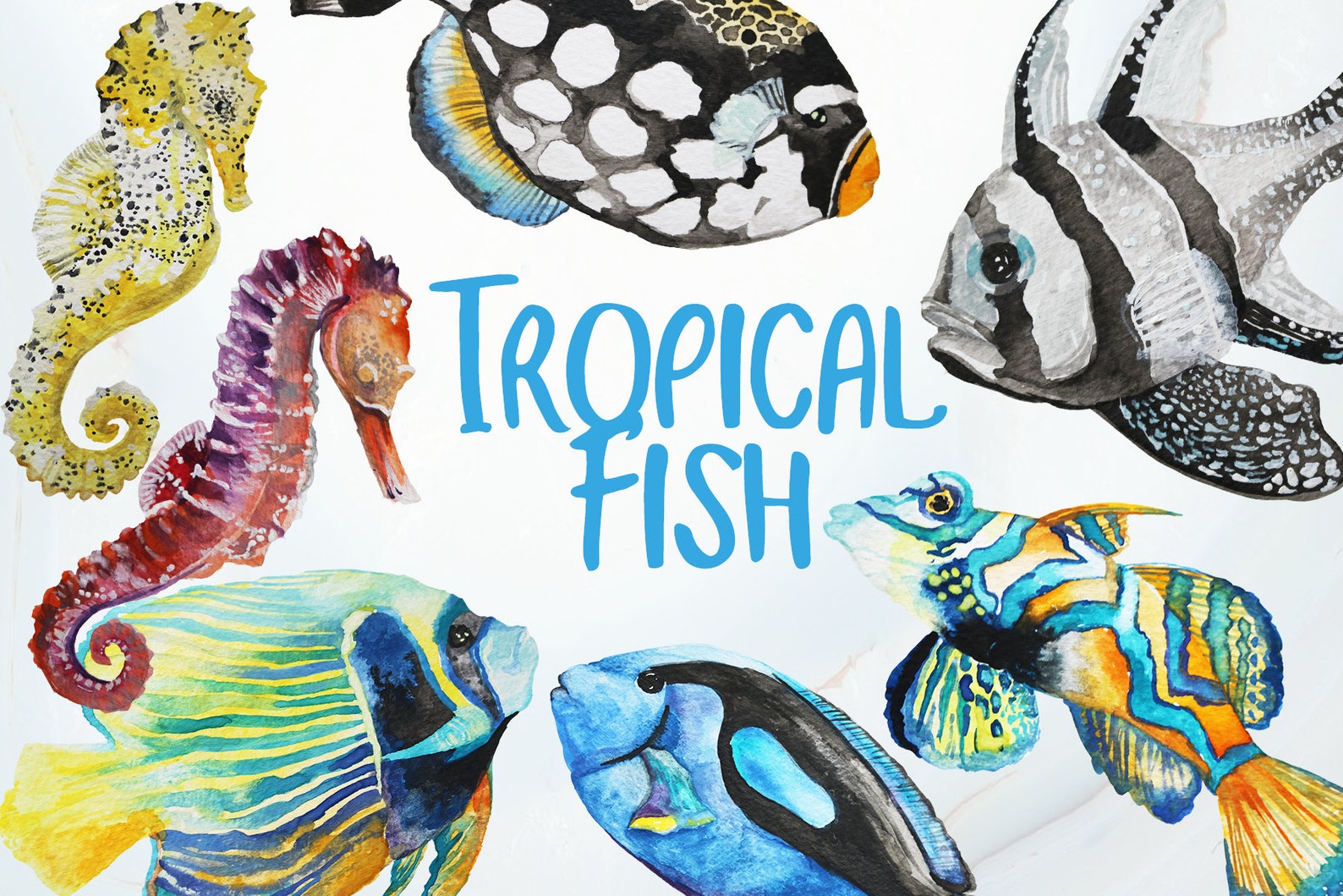 Tropical Fish Clip Art Set Watercolor Fish Illustration Fish - Etsy