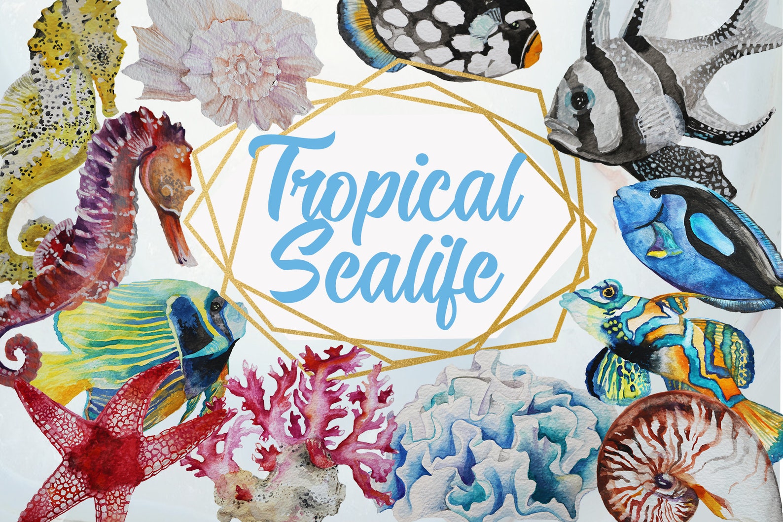 Tropical Fish and Sea Life Clip Art Set Watercolor Coral - Etsy