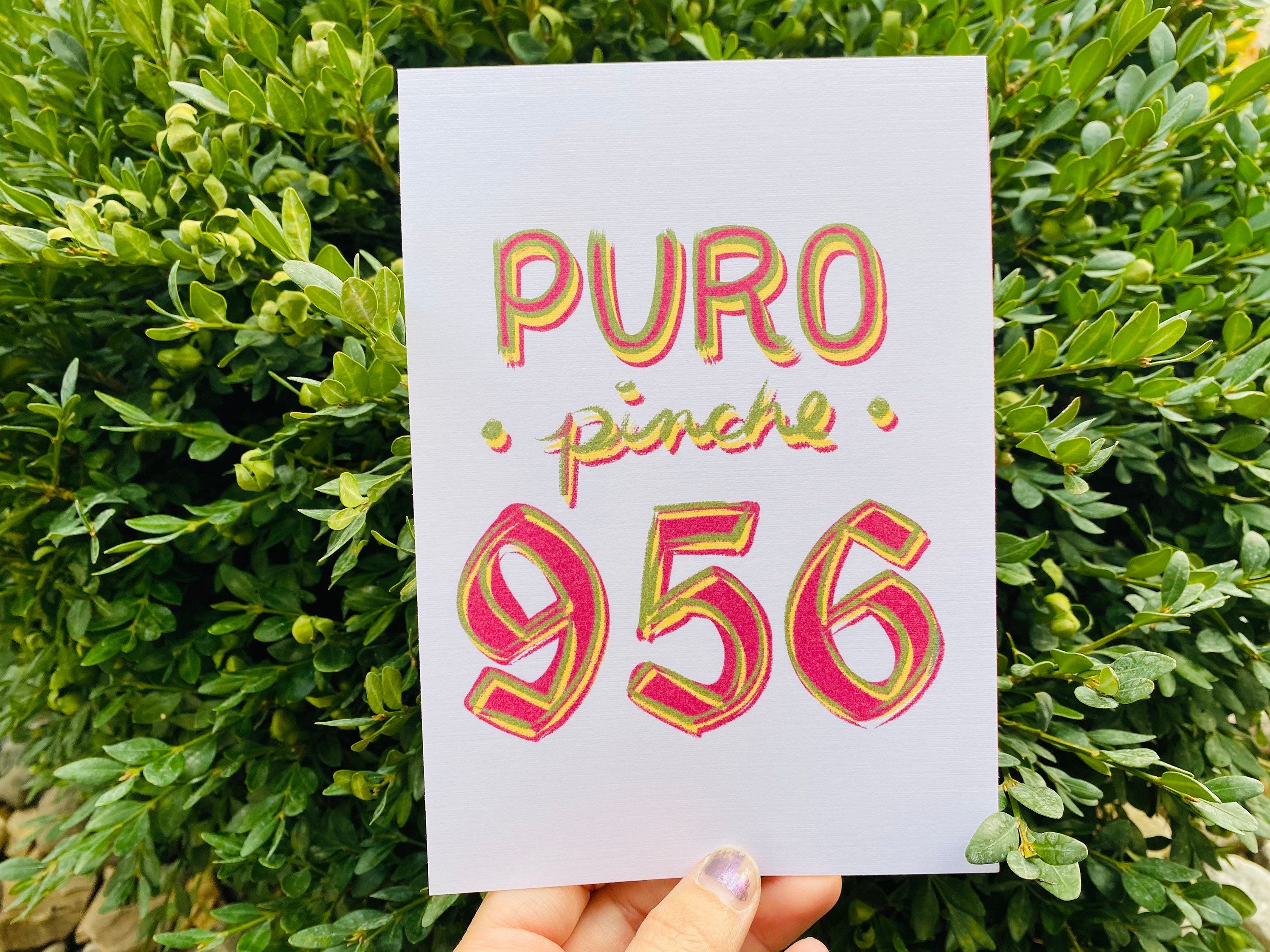PURO PINCHE 956 Print Río Grand Valley Wall Art Home - Etsy