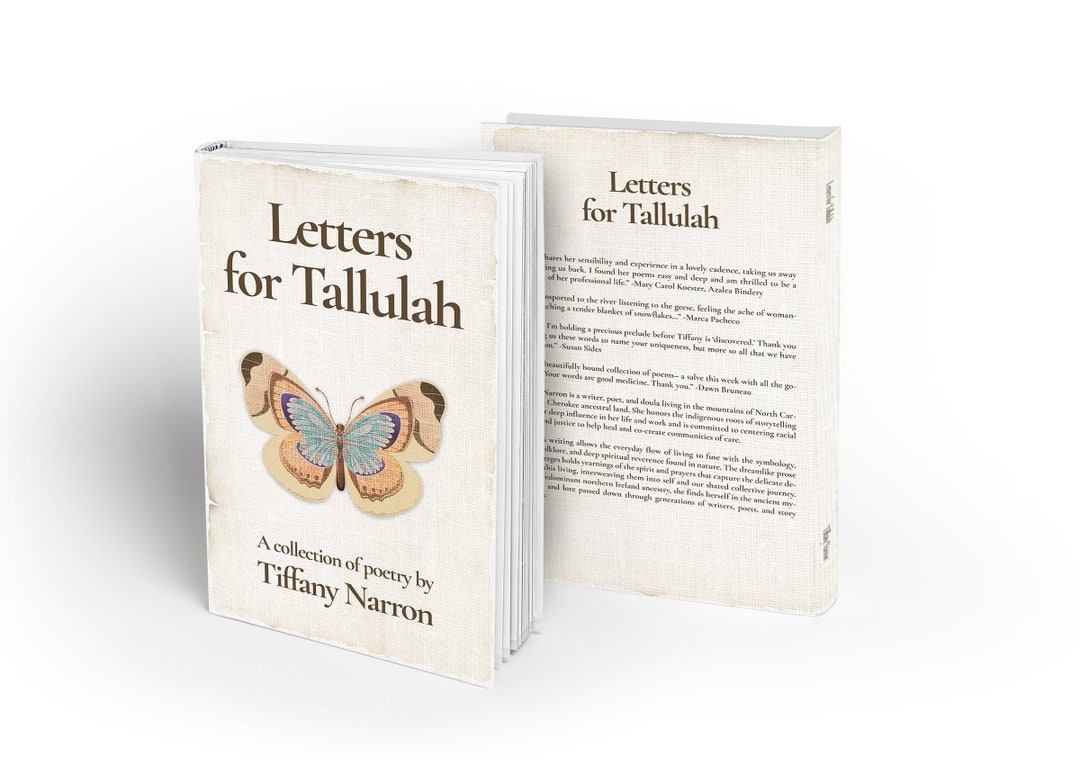 Letters for Tallulah, Volume Two - Etsy