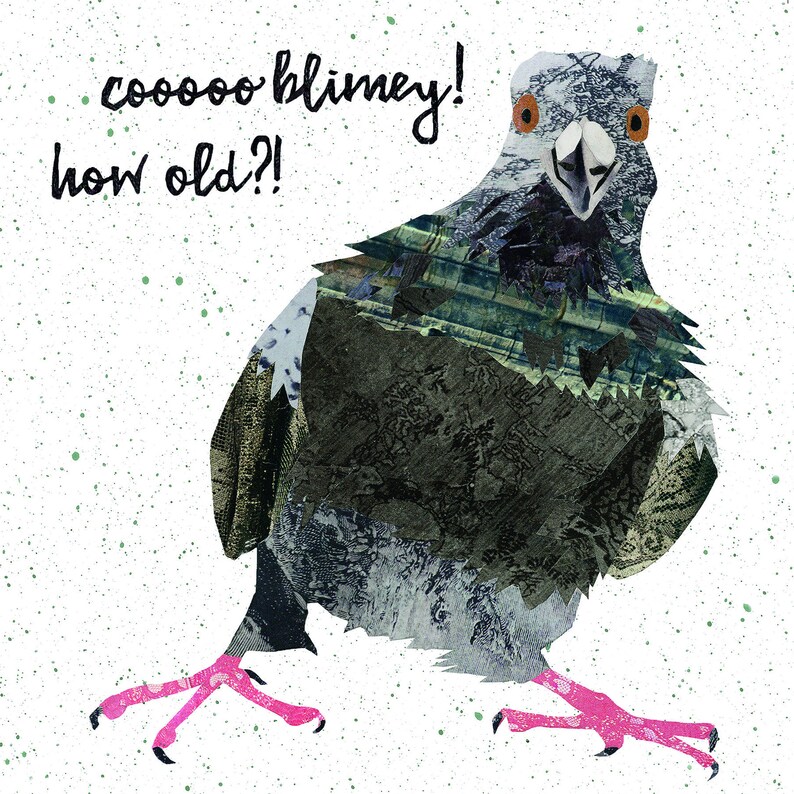 Cheeky Pigeon Birthday Card How Old Pigeon Card Quirky - Etsy Canada