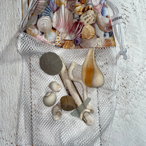 Sea Shell Print - Etsy