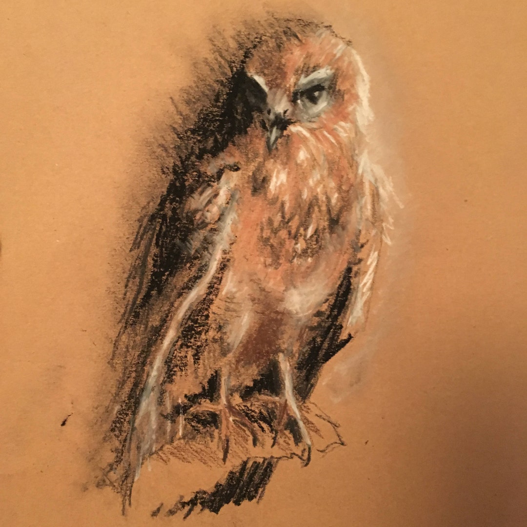 Hawk Picture Original Hawk Print Art Bird of Prey Gift - Etsy