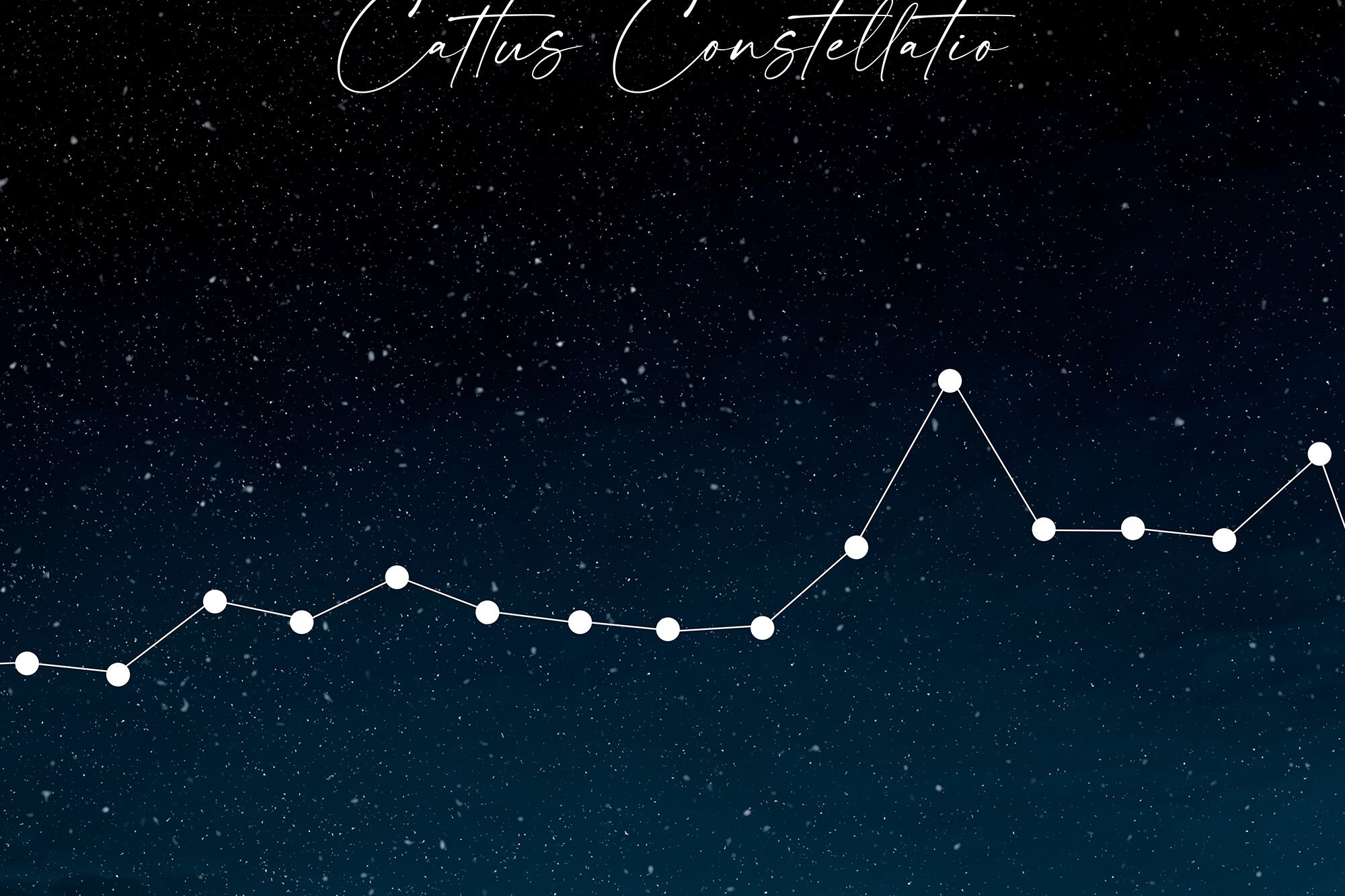 Cat Constellation Astrology Wall Art Stars Illustration | Etsy