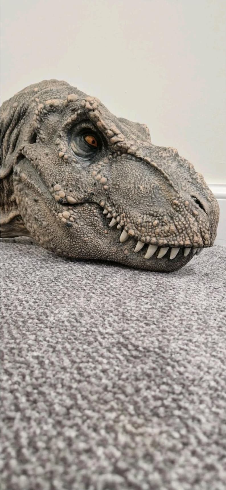 Life Size Bust T-rex 1:5 Scale - Etsy