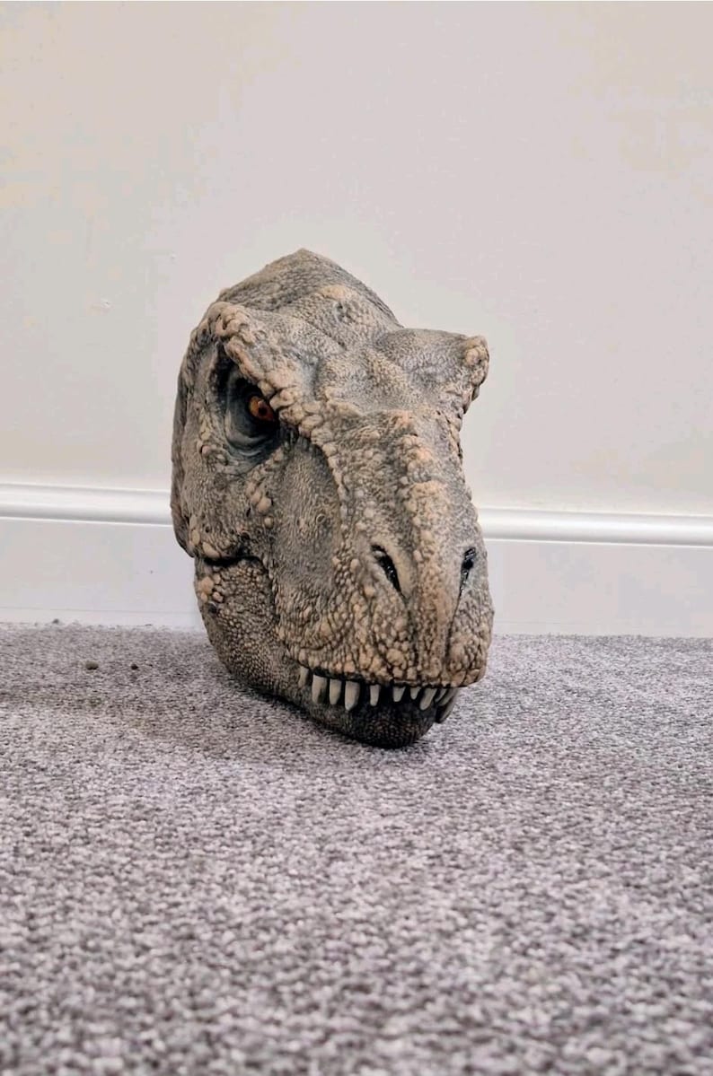 Life Size Bust T-rex 1:5 Scale - Etsy