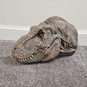 Life Size Bust T-rex 1:5 Scale - Etsy