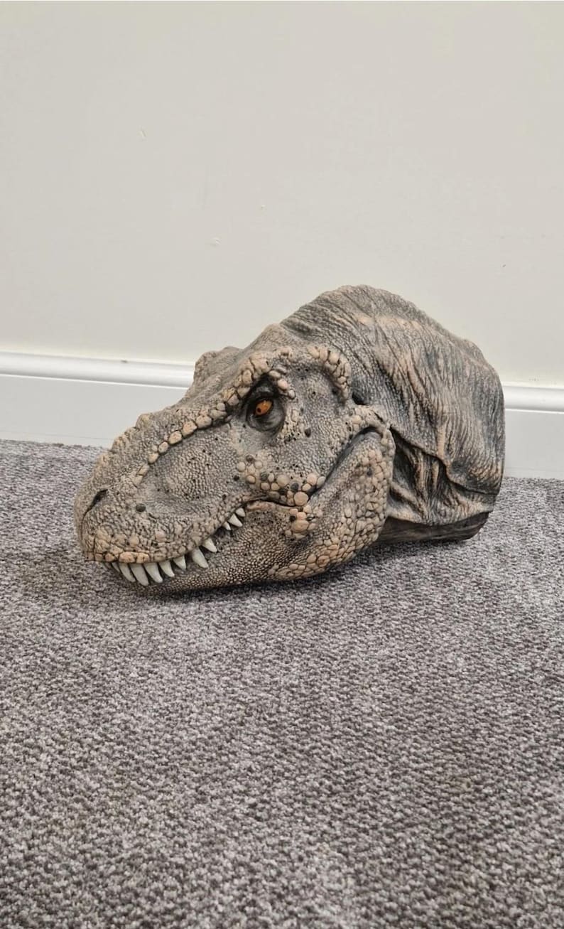 Life Size Bust T-rex 1:5 Scale - Etsy