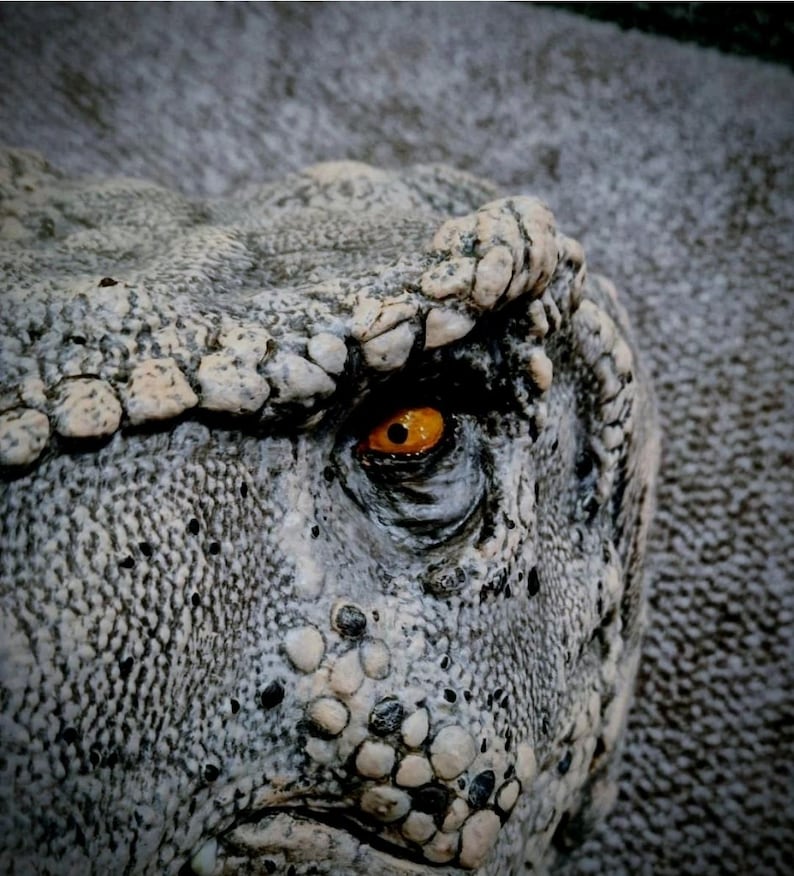 Life Size Bust T-rex 1:5 Scale - Etsy
