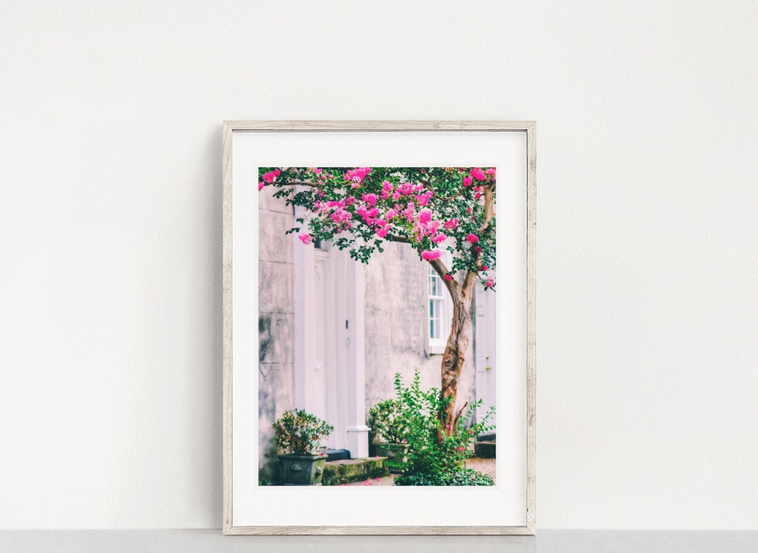 Charleston Crape Myrtle Print: Historic Southern Landscape - Etsy