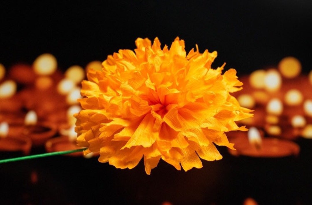 Day of the Dead/marigold Flowers/cempasuchil/dia De Muertos Altar ...