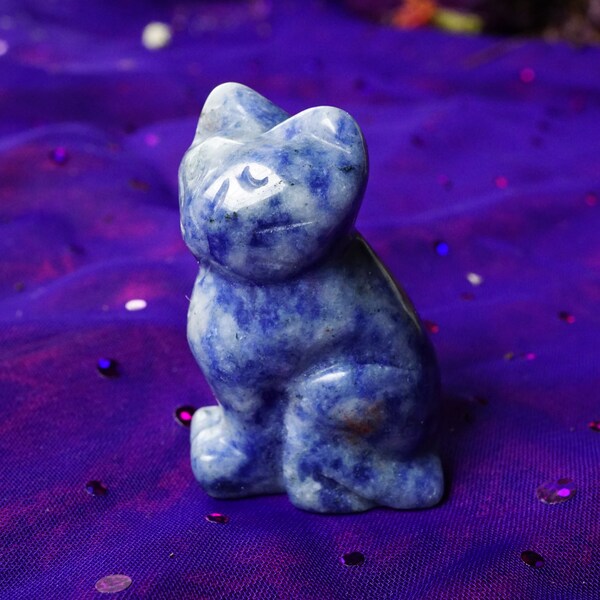 Crazy Cat Lady Gift - Etsy