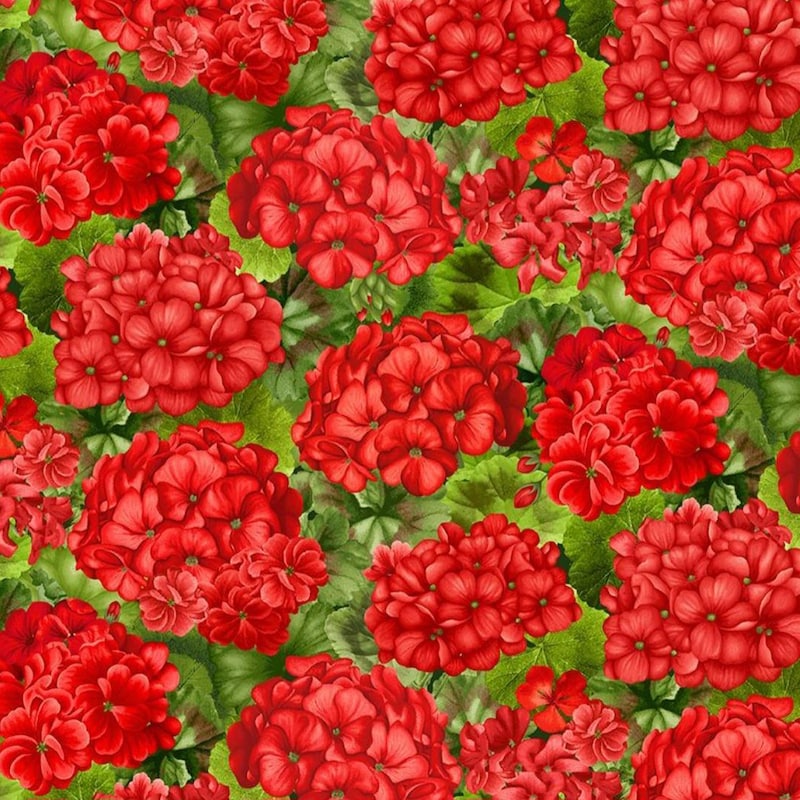 Geranium Print - Etsy