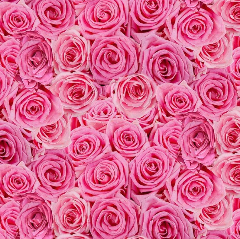 Bellerose by Timeless Treasures Packed Pink Roses Cotton Quilt Fabric ...