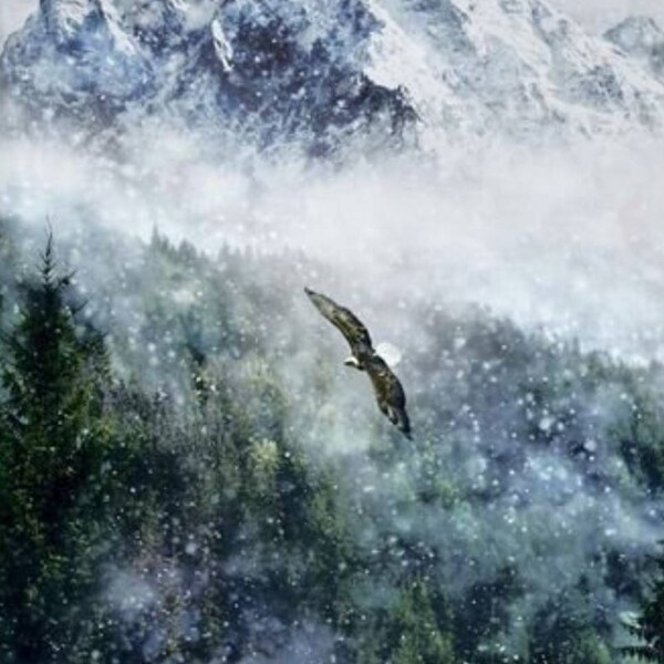 Eagle Fabric Panels - Etsy