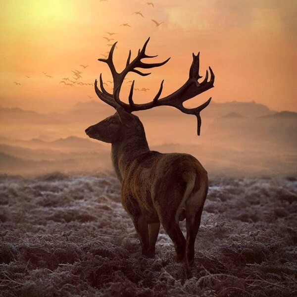 Wildlife Quilt Panel - Etsy