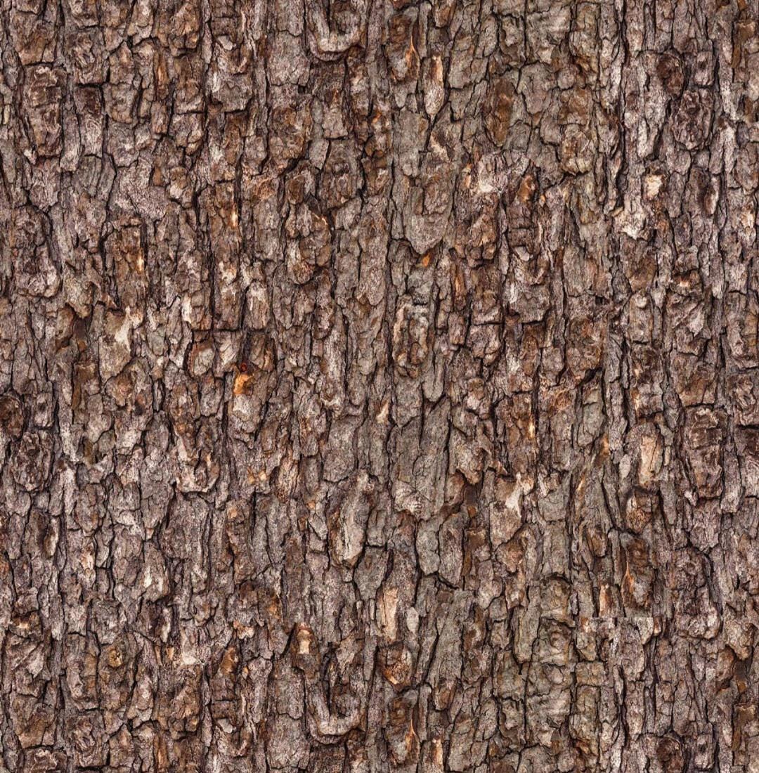 Elizabeth Studio Landscape Medley Reddish Brown Tree Bark Cotton Quilt ...