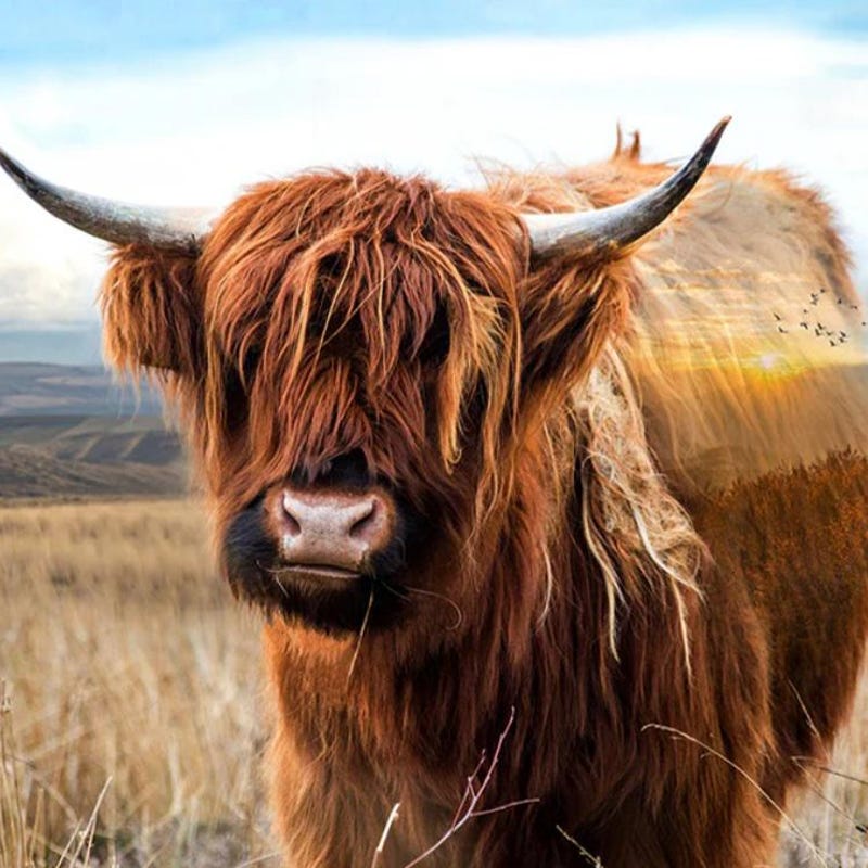 Quilt Panels With Nature - Etsy