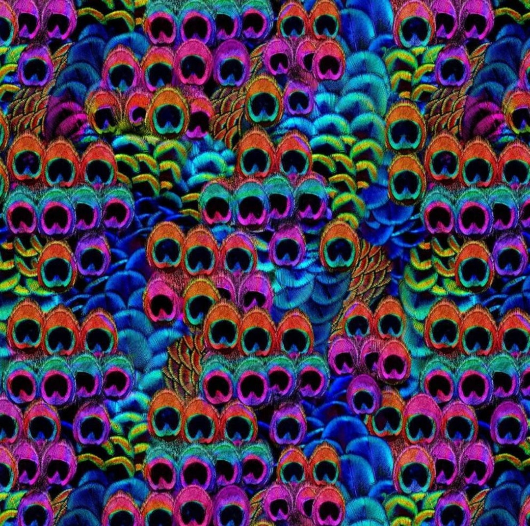 Timeless Treasures Full Color Rainbow Peacock Feathers Cotton Quilt ...