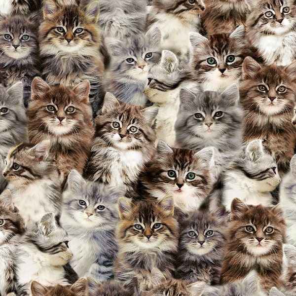 Cat Print Fabric - Etsy