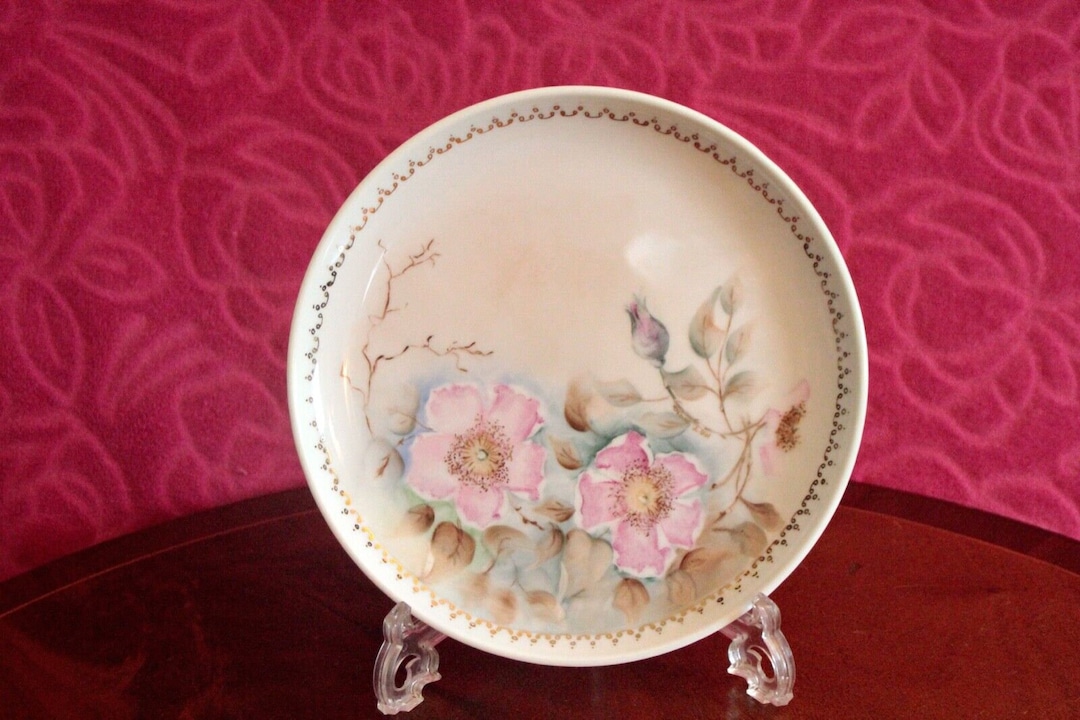 Vintage Schönwald Germany Porcelain Hand Painted Plate - Etsy
