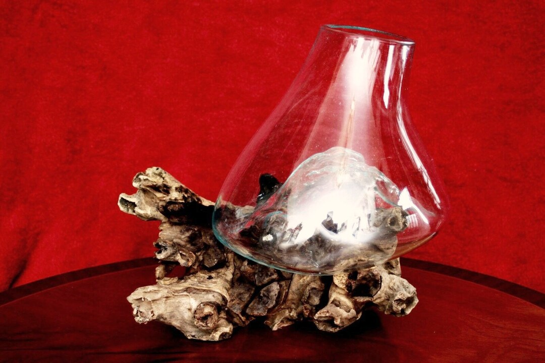 Medium Hand Blown Molten Glass and Wood Root Sculptured Terrarium ...