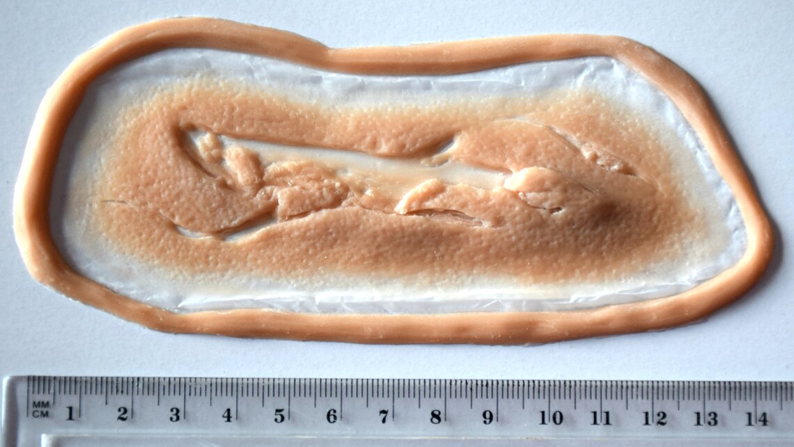 SFX Makeup / Forehead Wound Silicone Flat Mould / Flesh Wound / Special ...