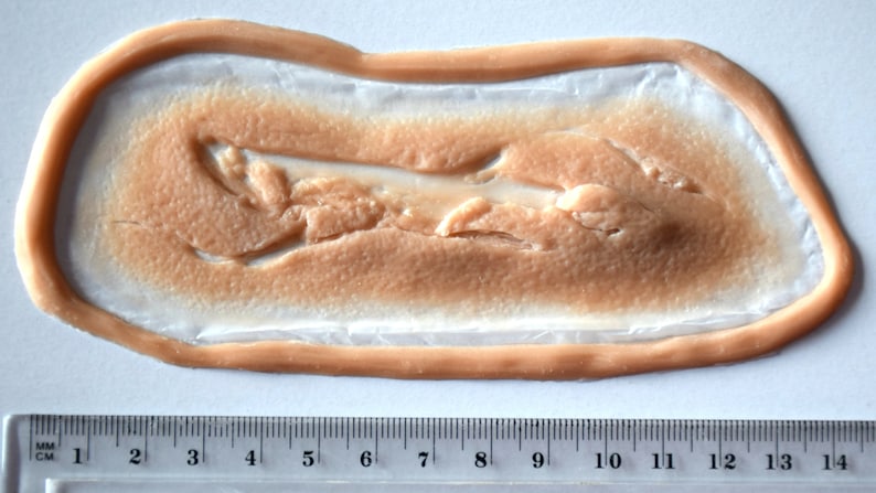 SFX Makeup / Forehead Wound Silicone Flat Mould / Flesh Wound / Special ...