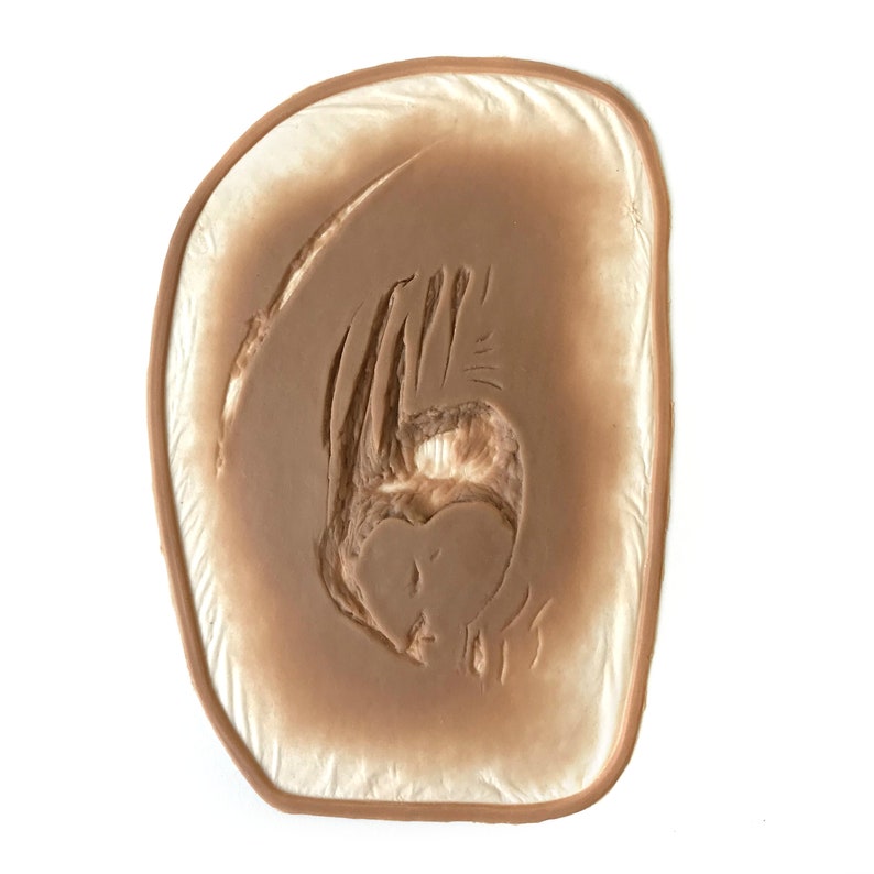 Shark Bite Prosthetic Makeup Mould by Dabbledark - Etsy