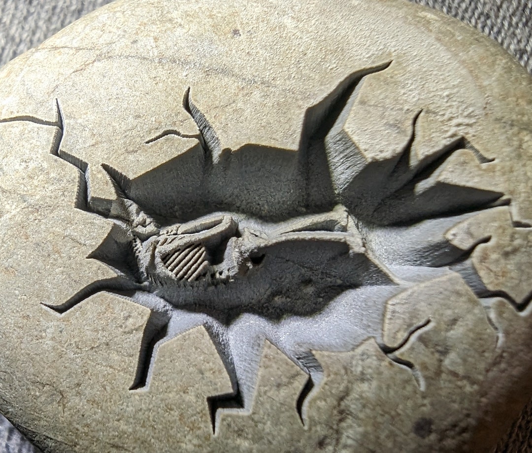 Skeleton Rock File for Engraving One for Lightburn One for Ezcad2/3 - Etsy