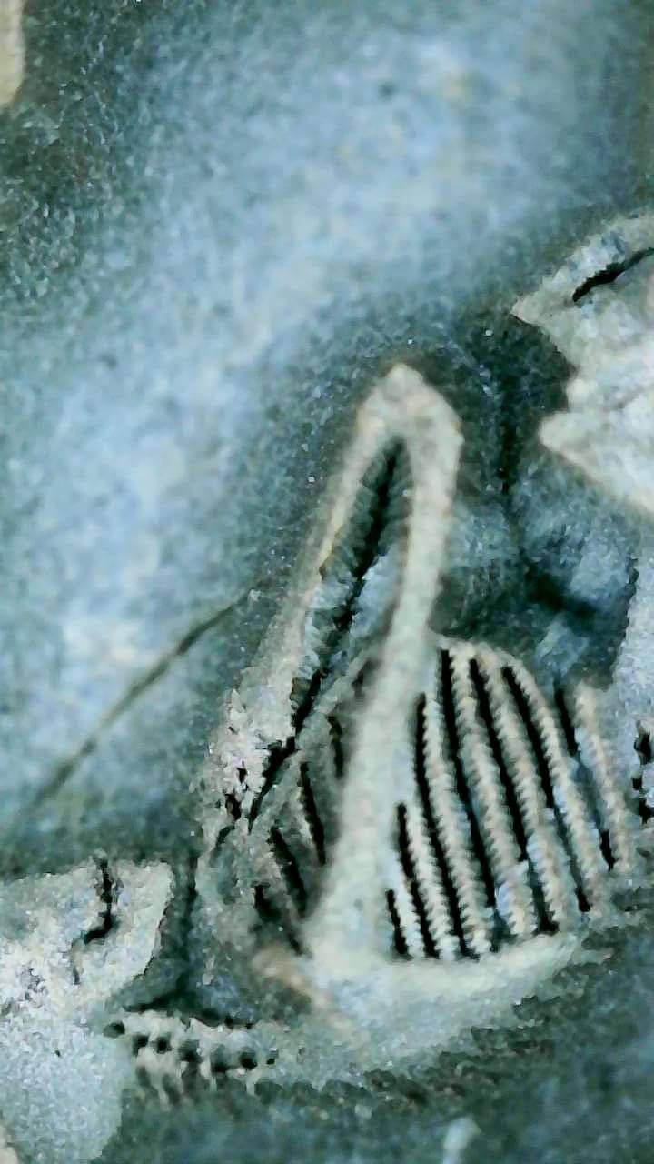 Skeleton Rock File for Engraving One for Lightburn One for Ezcad2/3 - Etsy