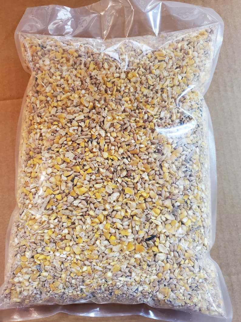 Scratch Grain-5 Pound Bag - Etsy
