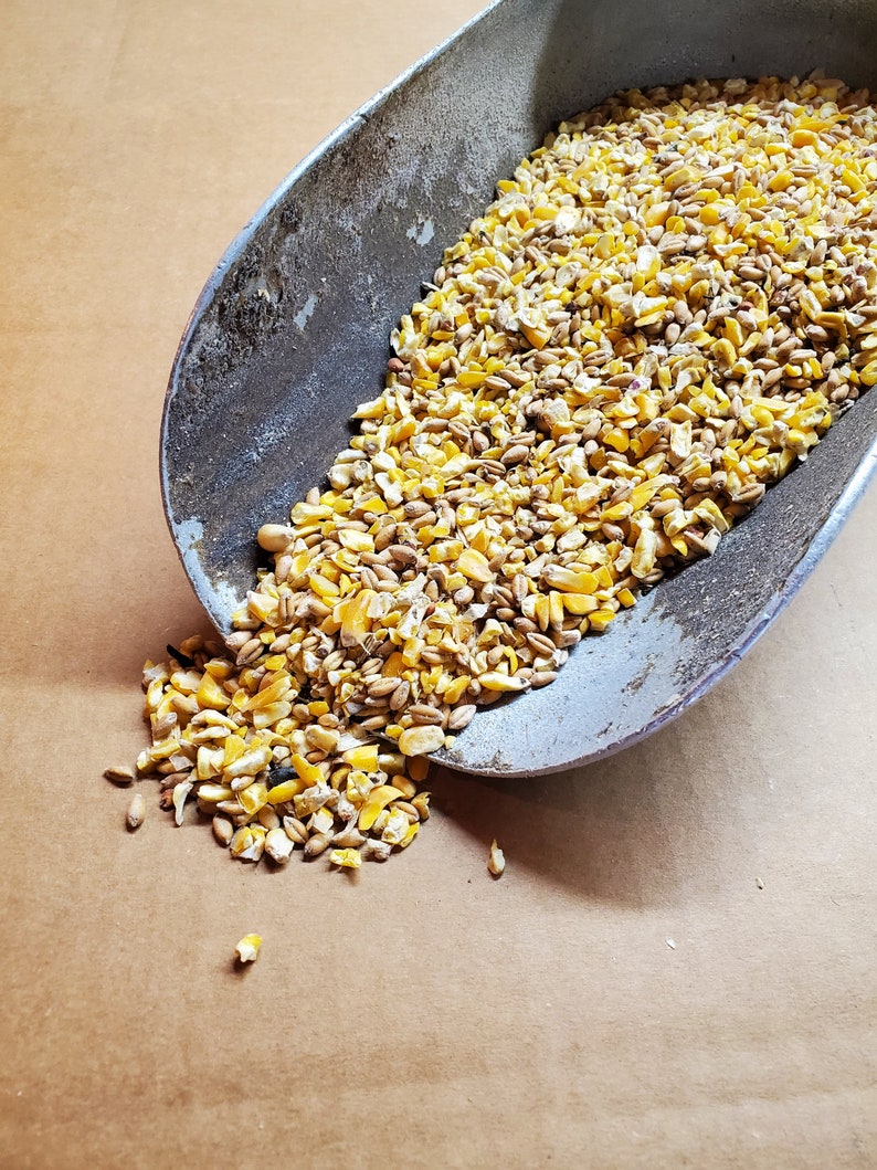 Scratch Grain-5 Pound Bag - Etsy