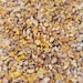 Scratch Grain-5 Pound Bag - Etsy