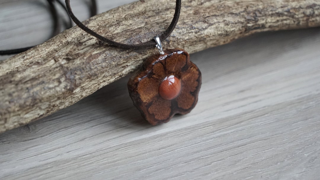 Banisteriopsis Caapi of Ayahuasca With a Red Agate Stone - Etsy