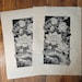 Lotus, Lino Print on Paper, Hand Printed, Signed, Contemporary Wall Art ...