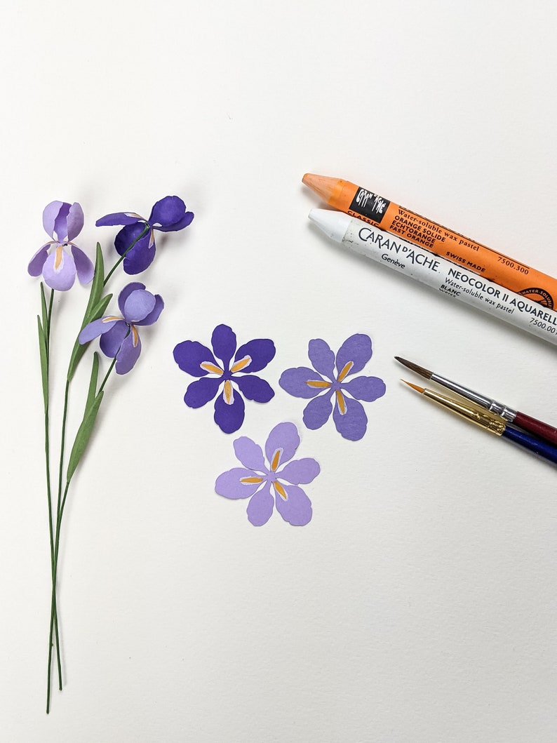 Simple Paper Iris with Leaves SVG Digital File for Cricut & | Etsy