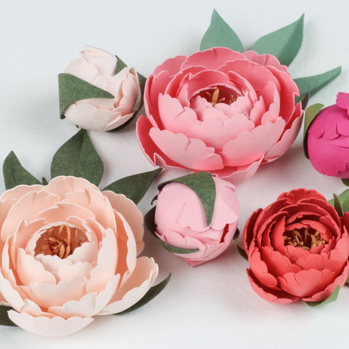 Ball Peony Paper Flower Tutorial SVG PDF PNG Digital Files - Etsy