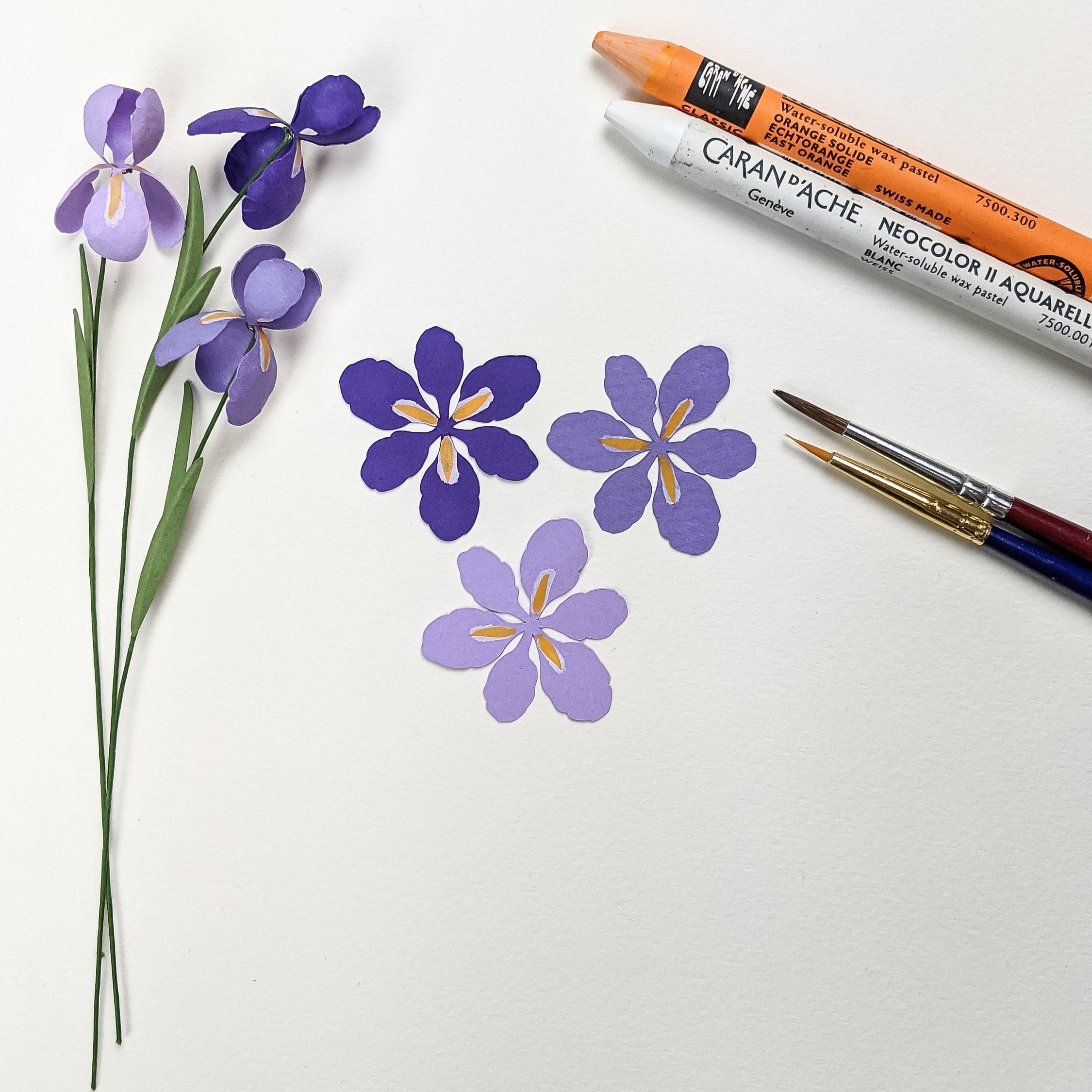 Simple Paper Iris With Leaves SVG Digital File for Cricut & Silhouette ...